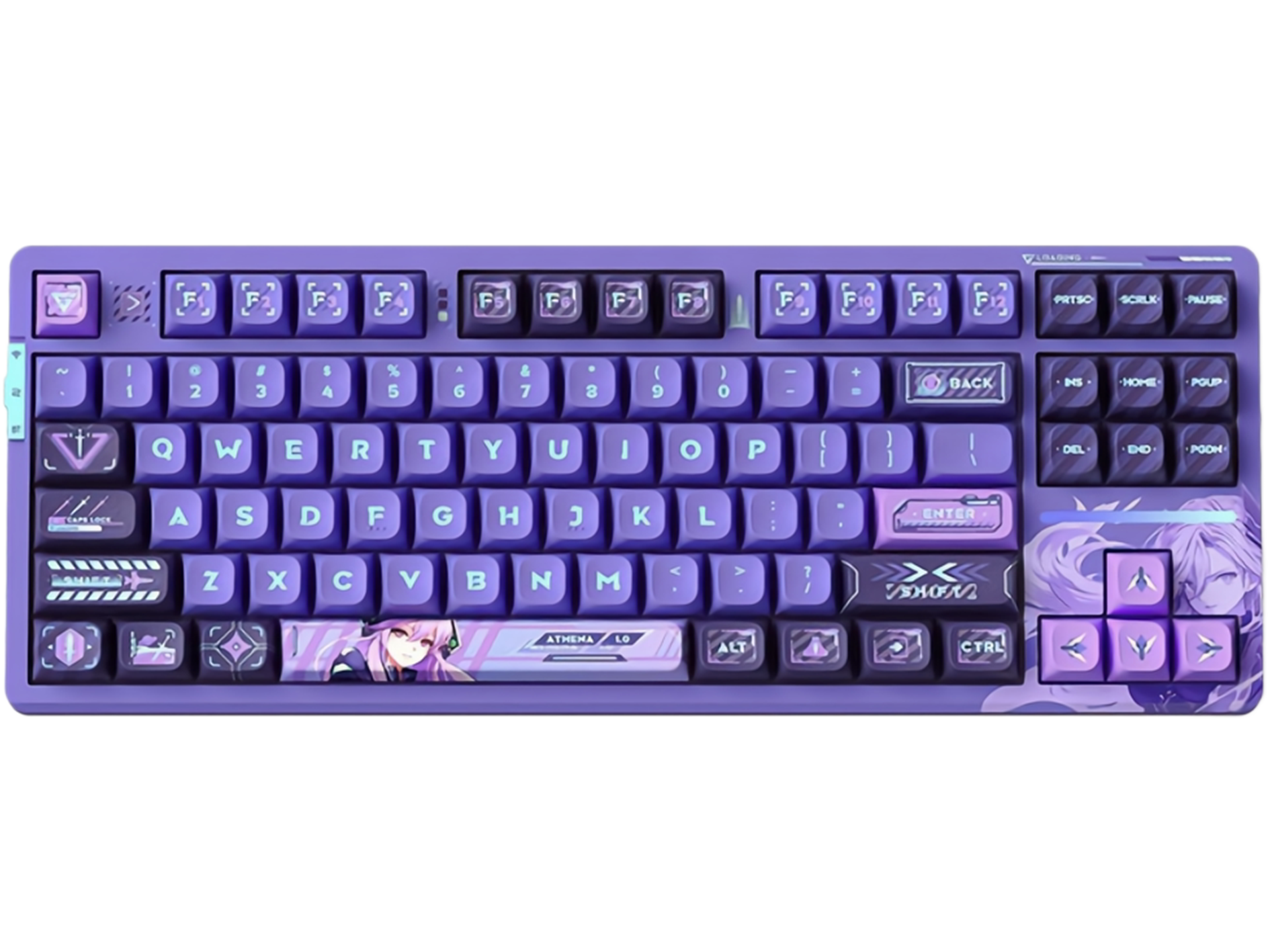 Index of /img/equipment/